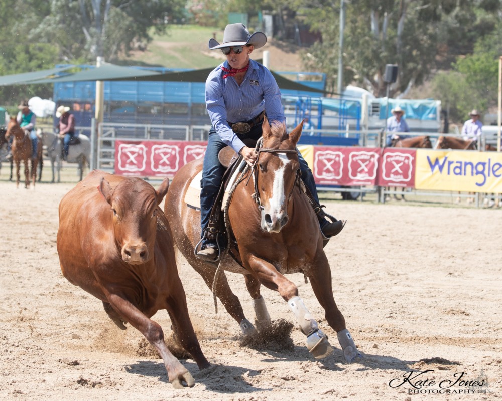 Steve Comiskey Campdrafting | Campdraft Clinics – Horses For Sale